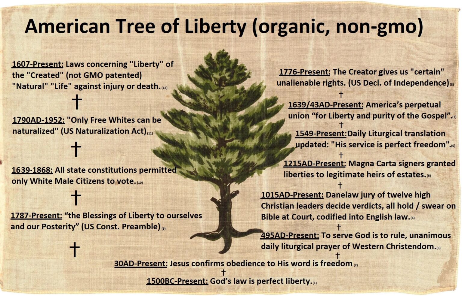 AMERICAN NATIONAL TREE OF LIBERTY ANALYSIS (a must see info graphic ...